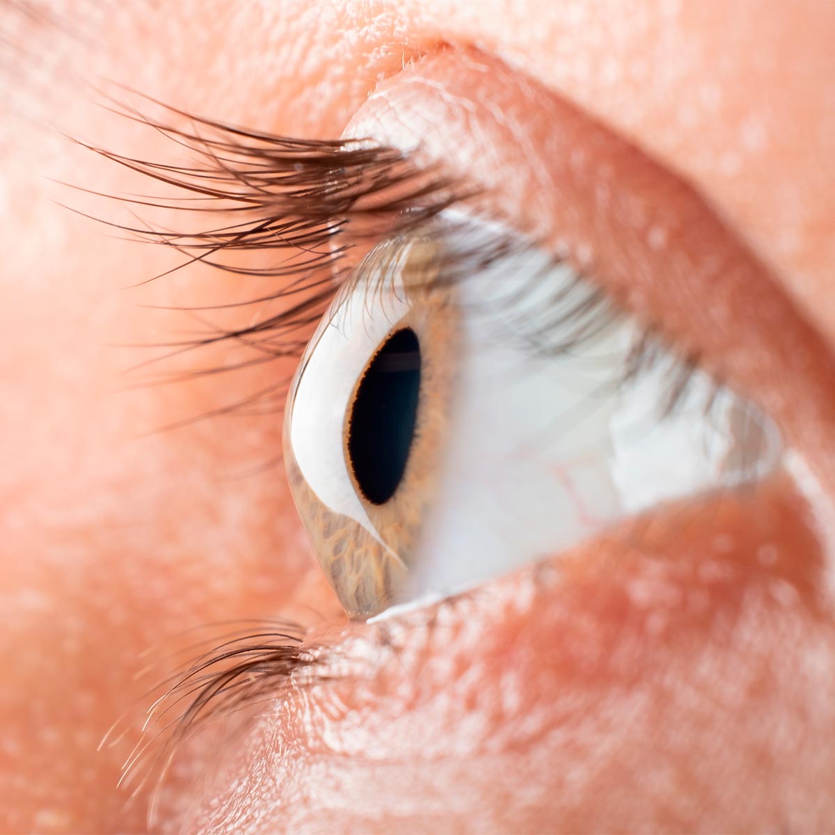 Retina y vítreo – Eye Doctors